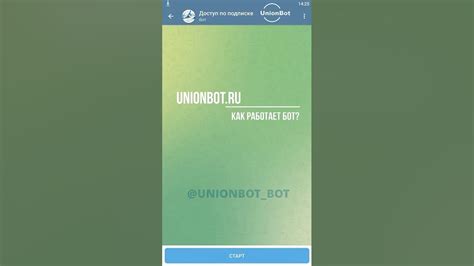 Как работает бот подписки для вашего платного телеграм канала Youtube