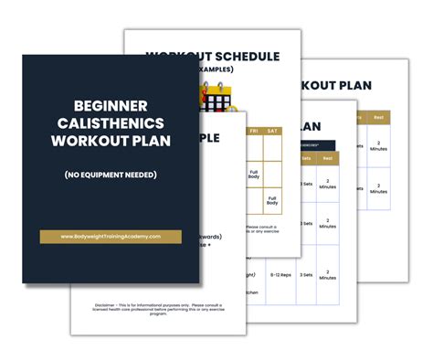 Beginner Calisthenics Workout Plan Free Pdf No Equipment