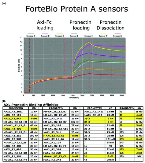 A Binding Affinity Curves For Lead Axl Binder Pronectin B The