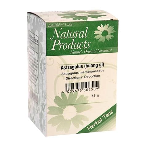 Astragalus Root Cut 75g Lg Holistic Therapies