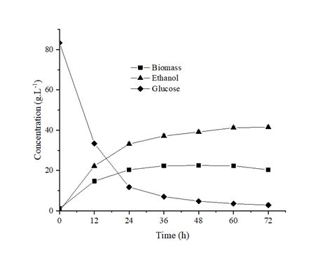 Experimental Data Of Biomass Ethanol And Glucose During Fermentation Download Scientific