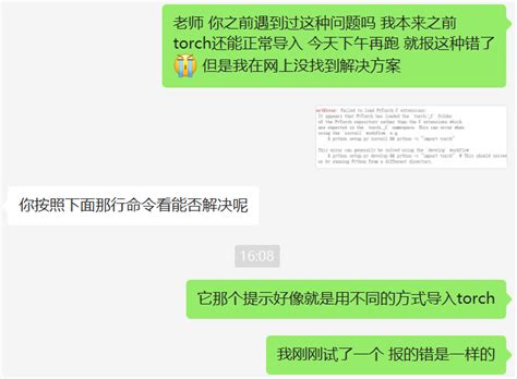 成功解决ImportError Failed to load PyTorch C extensions