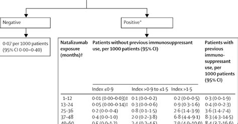 Multiple Sclerosis Research Natalizumab Tysabri And Pml Risk An Update