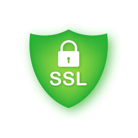 Secure Internet Connection Ssl Icon Ssl Safe Guard Vector Stock