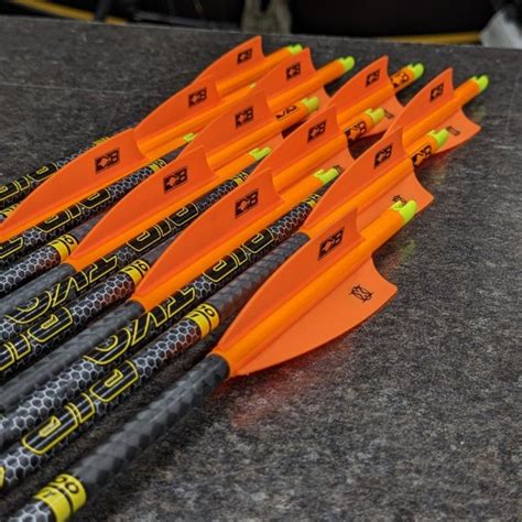 Victory Elite Rip Tko Custom Arrow Build 12 Pk
