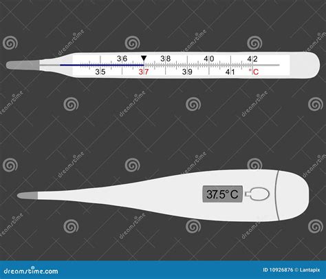 Analog Clinical Thermometer Vector Illustration 10487594