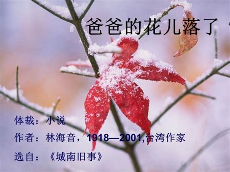 爸爸的花儿落了 相册 狸窝
