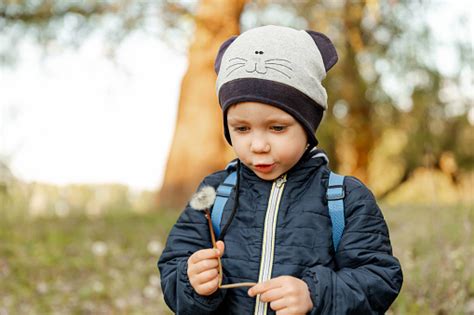 사랑스러운 귀여운 작은 소년 불고 에 A 민들레 꽃 에 이 자연 귀여운에 대한 스톡 사진 및 기타 이미지 귀여운 꽃 식물 놀기 Istock