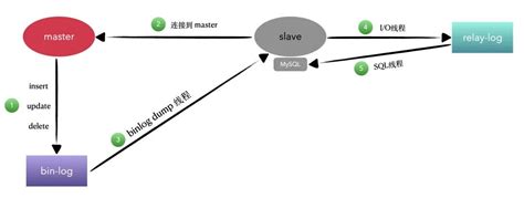 Springbootmysql 主从配置和读写分离master Has Sent All Binlog To Slave Waiting For M Csdn博客