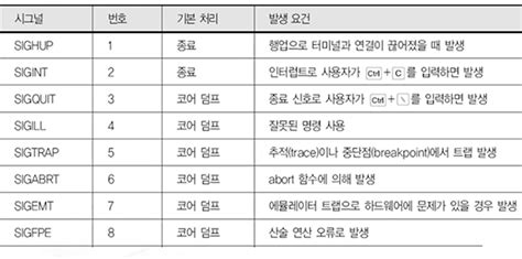 시스템 프로그래밍 9 1 시그널 배고픈 개발자