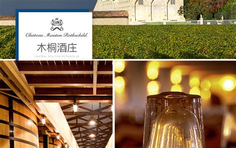 Mouton木桐 红葡萄酒1995年 木桐酒庄正牌干红葡萄酒 法国原瓶进口 750ml 支 赠品有限 赠完为止正品 价格 图片 寺库网