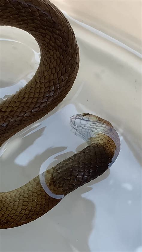 Libby Peacock Designs Margaret River Wa