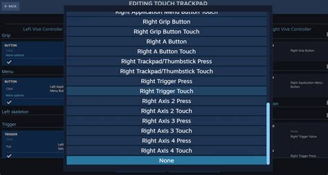 Advanced Settings Binds Not Appearing In Controller Binding · Issue