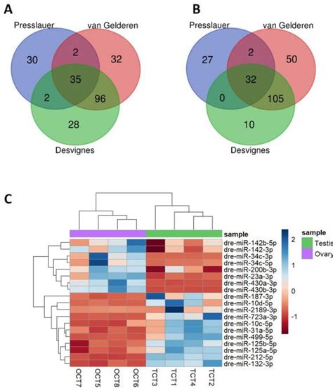 Tosca Van Gelderen Phd On Linkedin Deciphering Sex Specific Mirnas As Heat Recorders In