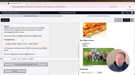 Freecodecamp Catphotoapp A Step By Step Guide To Building Your First Html Project