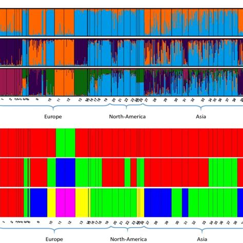 A Representation Of Populations Genetic Structure Estimated By The
