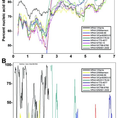 Similarity Plot Analysis Analysis Was Carried Out With Simplot