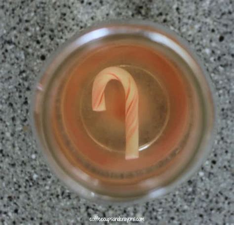Dissolving Candy Cane Science Experiment