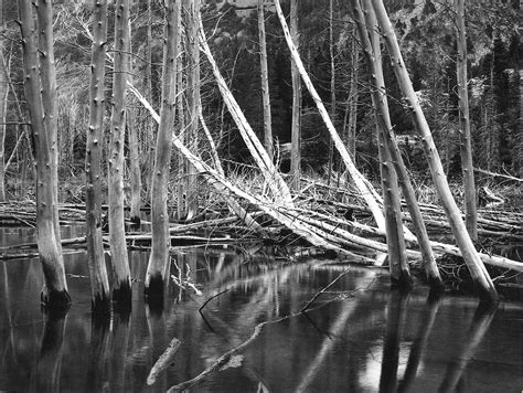 © John Sexton Best Landscape Photography Black And White Landscape Landscape Photography