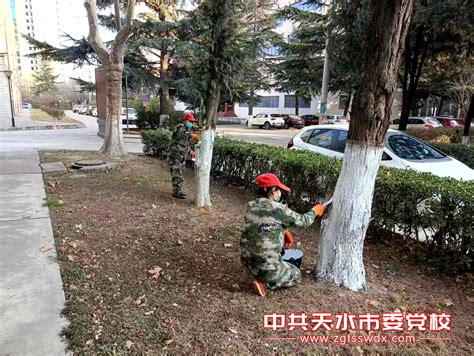 后勤服务中心顺利完成校园树木“刷白”工作 工作动态 中共天水市委党校