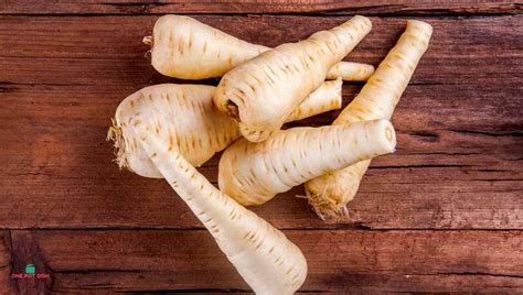 Parsnip Substitute Roasting And Recipe Alternatives Parsnip Substitute Roasting And Recipe Alternatives