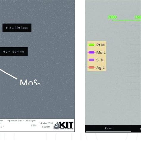 Scanning Electron Images And Line Scan EDS To Map Chemical Composition Download Scientific