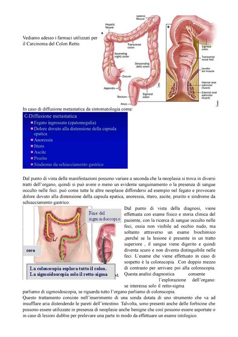 Faramci Per Tumore Al Colon Vediamo Adesso I Farmaci Utilizzati Per