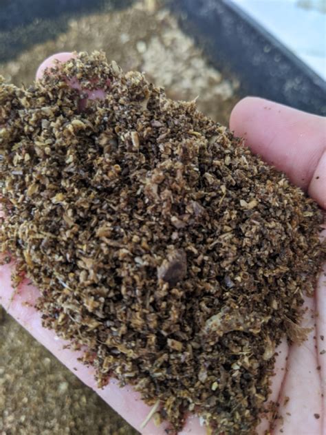 Insect Frass Mobius Farms