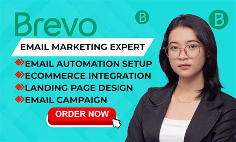 Do Brevo Email Marketing Brevo Template Brevo Automation Workflow Brevo Campaign By Dena54321