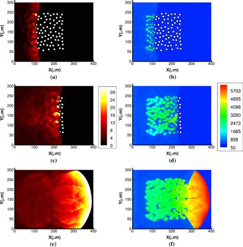 Reactive Simulation At The Reference Loading Conditions For Download Scientific Diagram