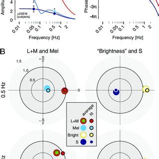 A Two Component Linear Filter Model Accounts For The Download Scientific Diagram