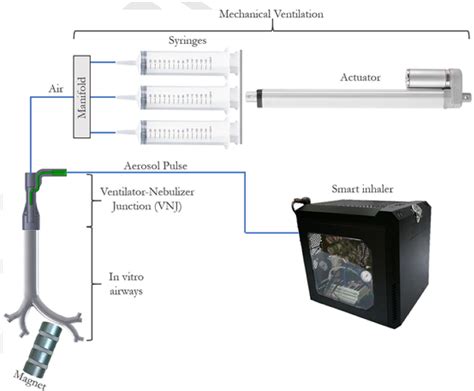 Figure 2 From Focused Targeting Of Inhaled Magnetic Aerosols In
