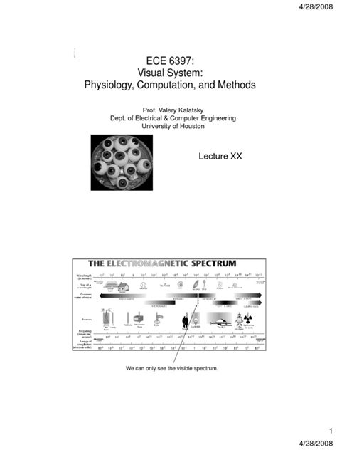 pdf 00 human visual system overview dokumen tips