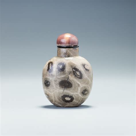 Fossiliferous Limestone Of Small Size With Starburst Markings