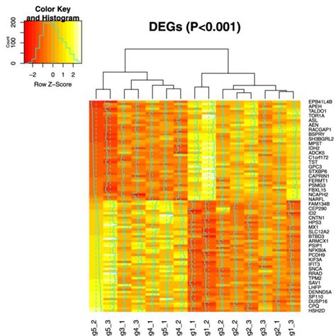 Heatmap Plot Of Differentially Expressed Genes All 15 Samples From 5