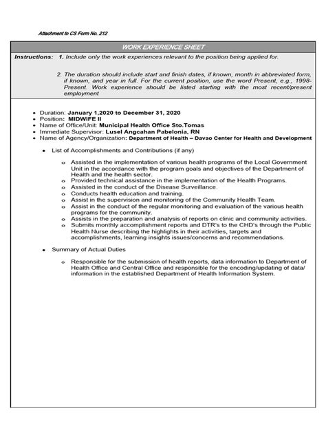 Work Experience Sheet 2021 Download Free Pdf Nursing Health Informatics