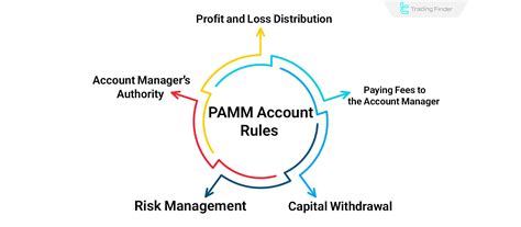 Pamm Account Differences With Copy Trade And Mam Accounts