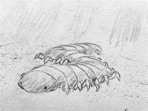 Sea Crawlers Ancient Cleaners Of The Sea Floor Rspeculativeevolution