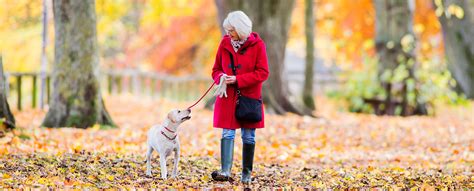 Exploring The Connection Lower Urinary Tract Dysfunction And Metabolic Syndrome Nprc