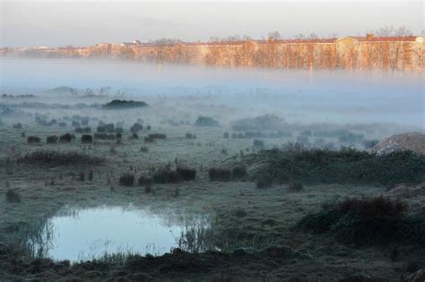 Mohamad Namdar Posted On Linkedin