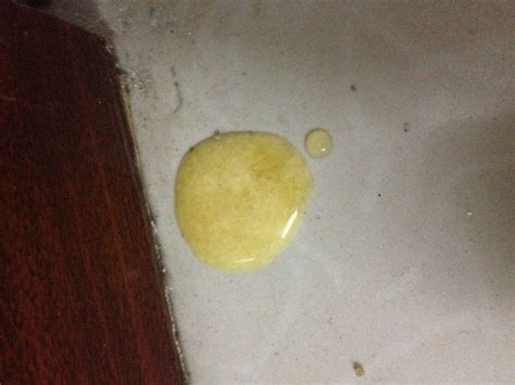 求助请问兔子这是拉稀吗 百度知道