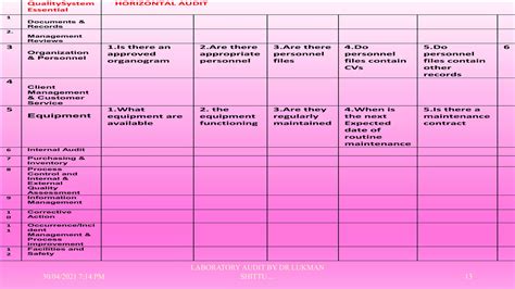 Laboratory Audit Ls Pdf