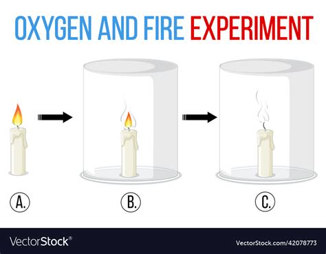 Oxygen And Fire Science Experiment Royalty Free Vector Image