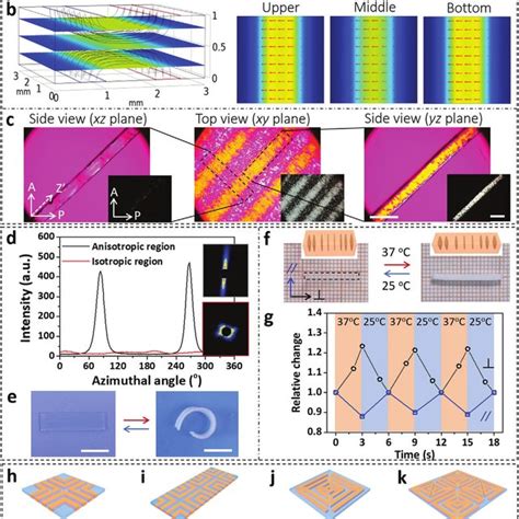 A Fabrication Of In Plane Gradient Hydrogel By Using Electrodes Plated
