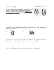Problem Set Docx Problem Set Pts SP BICD Grossman Pt In Humans Chromosomes