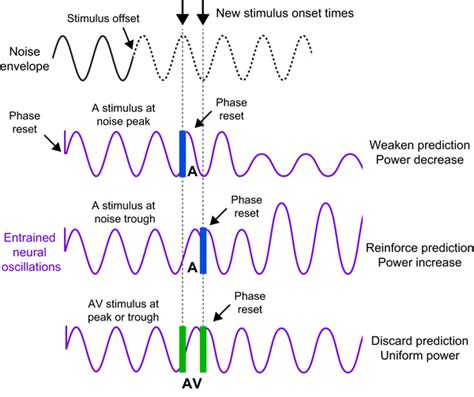 Model Of Oscillatory Reliability Encoding Neural Oscillations Are Download Scientific Diagram