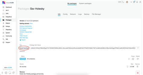 Ssv Distributed Validator Package For Dappnode Dappnode