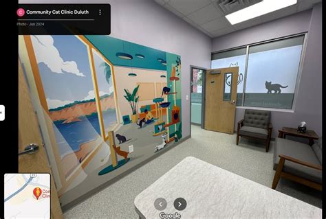 Vet Clinic Murals Inside Exam Rooms Review Support Niantic Wayfarer