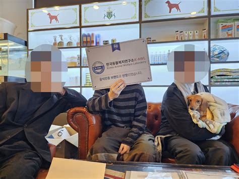 닥스훈트 초코 렉돌분양가격 브리숏분양가격 브리티시숏헤어분양가격 러블분양가격 티컵비숑프리제분양 티컵포메라니안분양 티컵말티즈분양 티컵말티푸분양 티컵푸들분양 티컵강아지분양