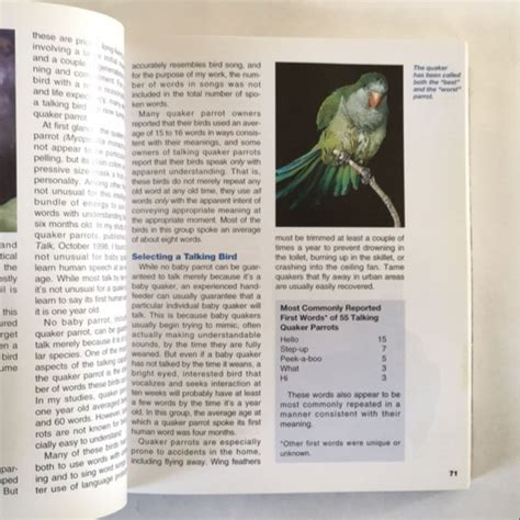 Guide To Companion Parrot Behavior By Mattie Sue Athan